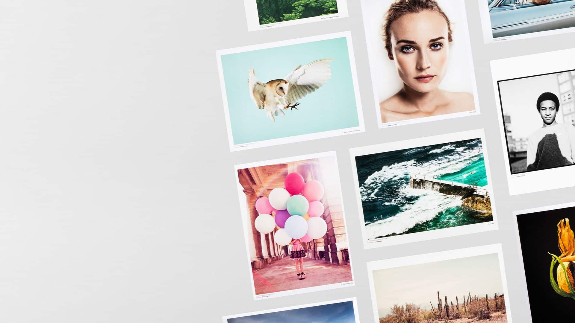 Compare Fine Art Papers | Art Print Samples | theprintspace