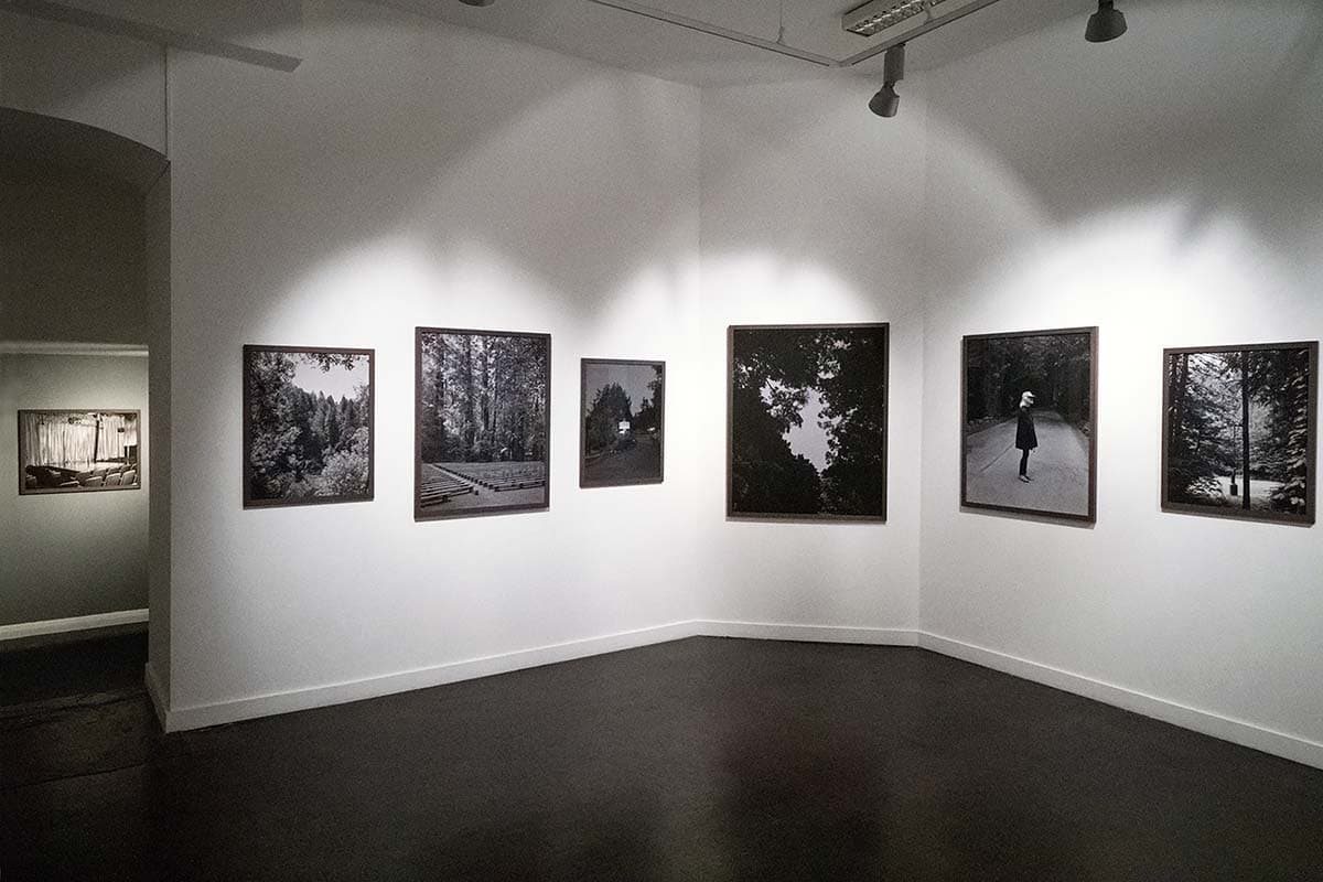 4 ways to curate an art or photography exhibition like a pro ...